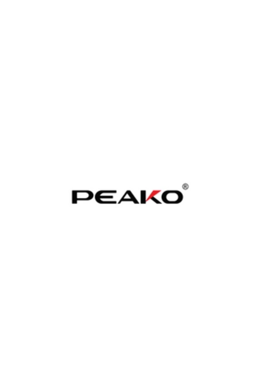PEAKO Models – The Tiny Cars